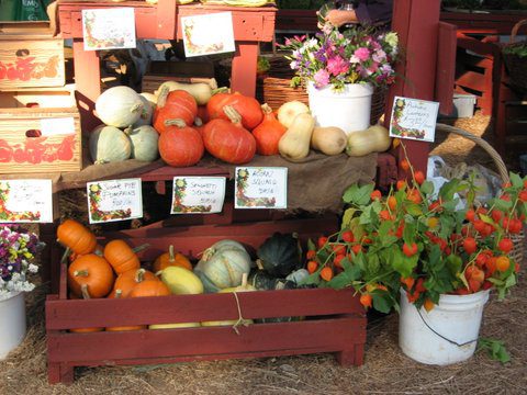 Fall Market Events! | Kootenai County Farmers' Markets