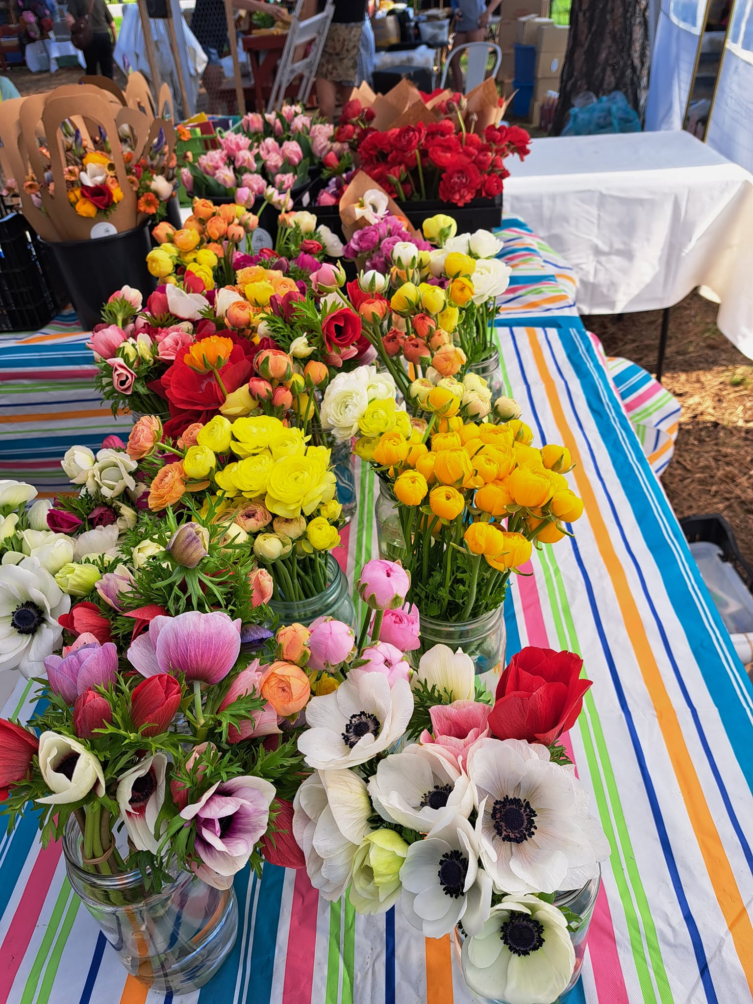 Spring Produce and the First PoP Club | Kootenai County Farmers' Markets