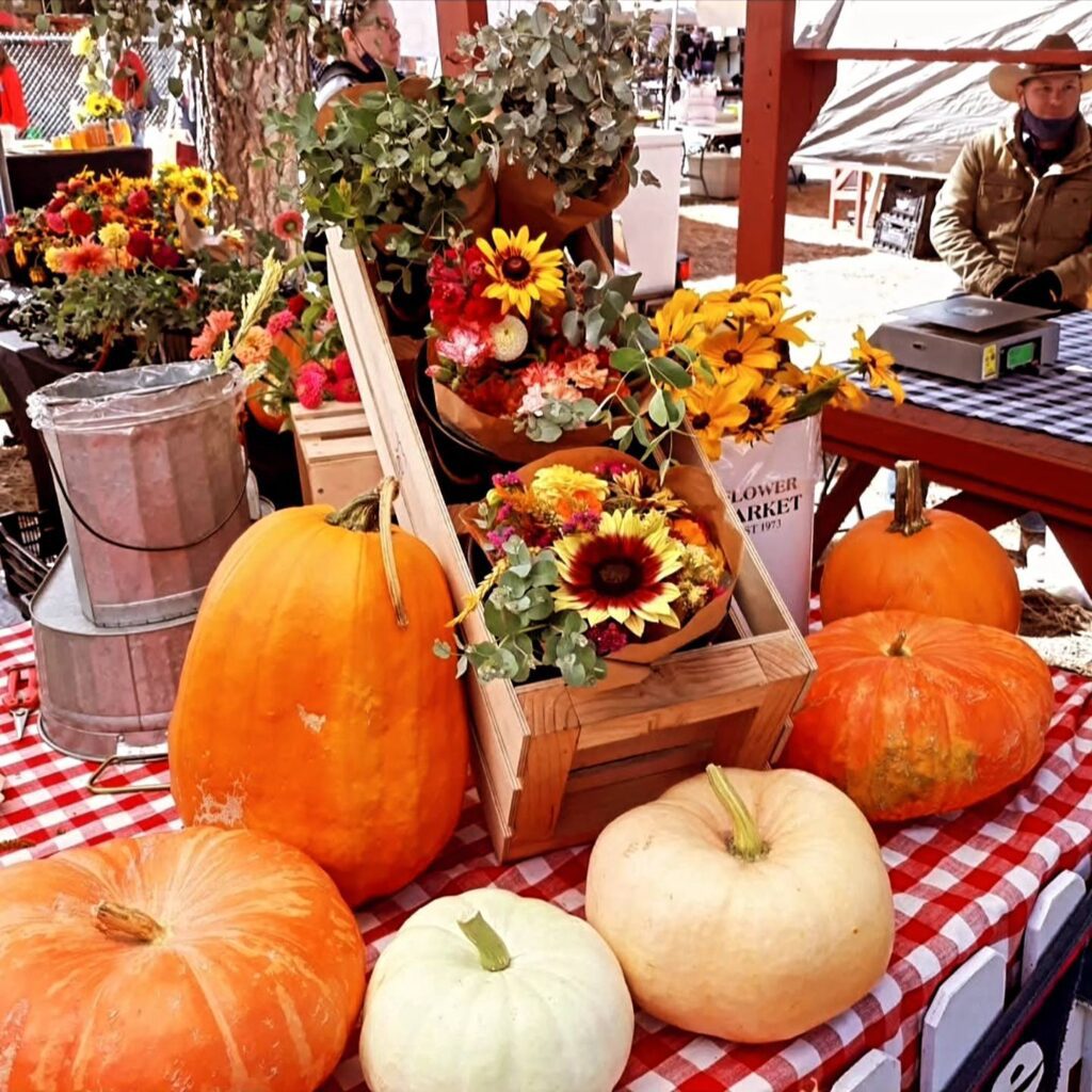 Easy-Peel Farm-Fresh Hard-Boiled Eggs | Kootenai County Farmers' Markets